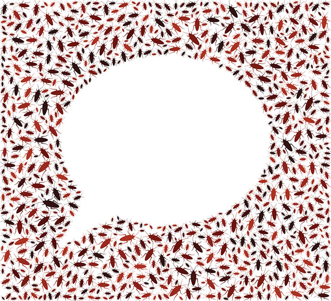 Top Signs You Need Cockroach Control | Quality Control Inc.