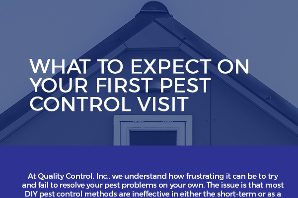 What to Expect on Your First Pest Control Visit [infographic] | Quality ...
