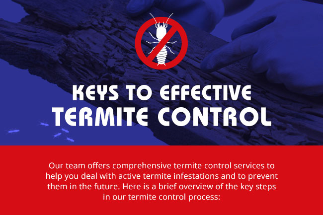 Keys to Effective Termite Control [infographic] | Quality Control Inc.