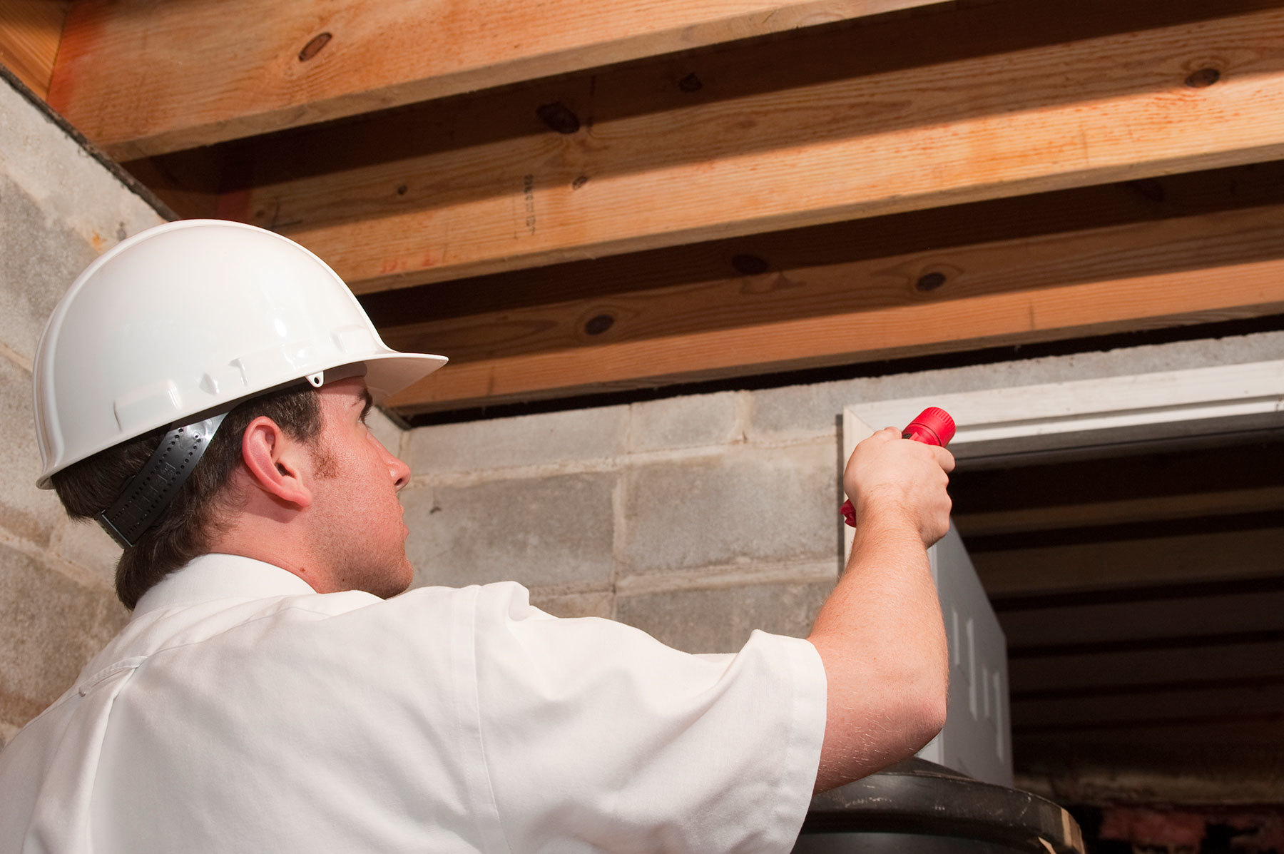 Get a Free Estimate on Pest Control! | Quality Control, Inc.